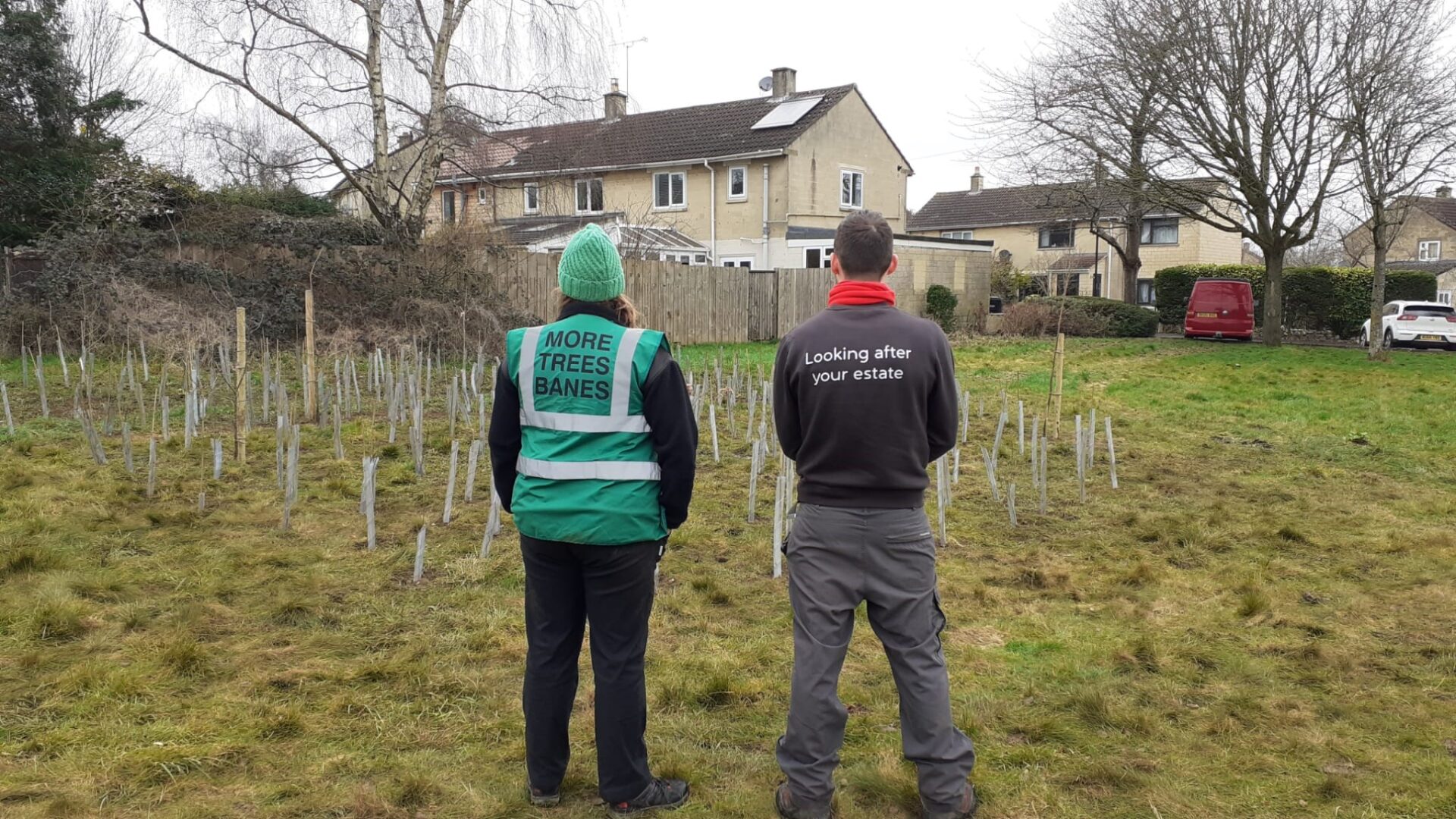 Tree Planting & Aftercare - More Trees BANES